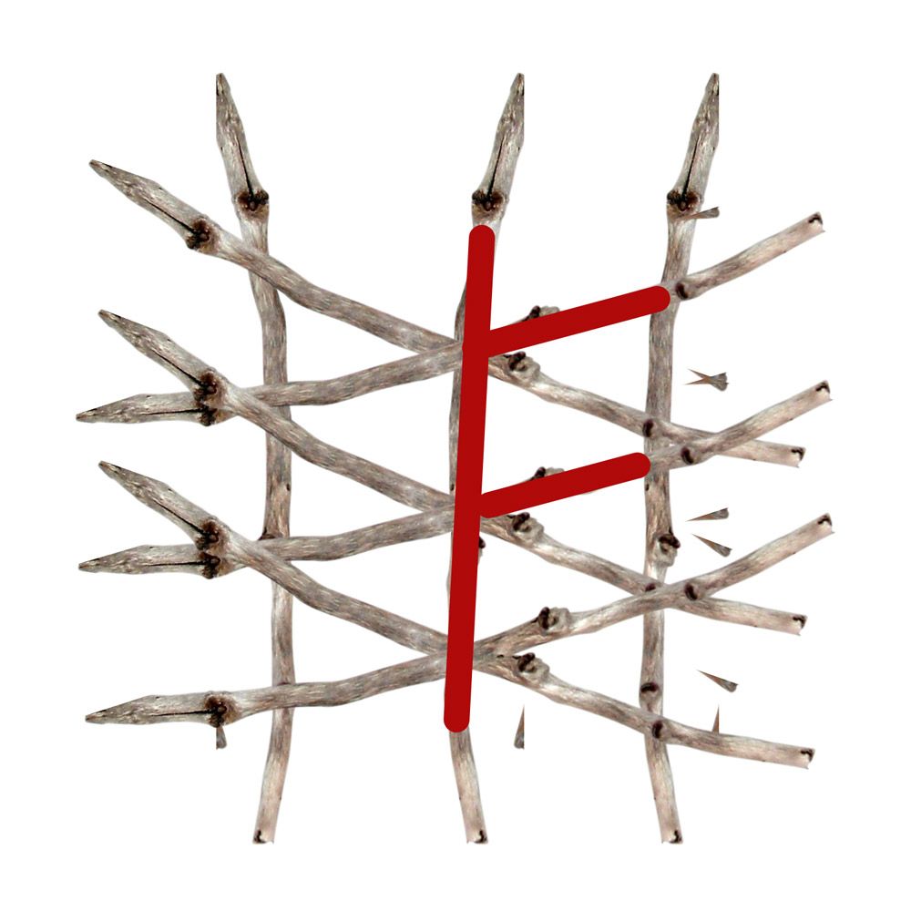 Fehu | aett di Freya | le 24 rune